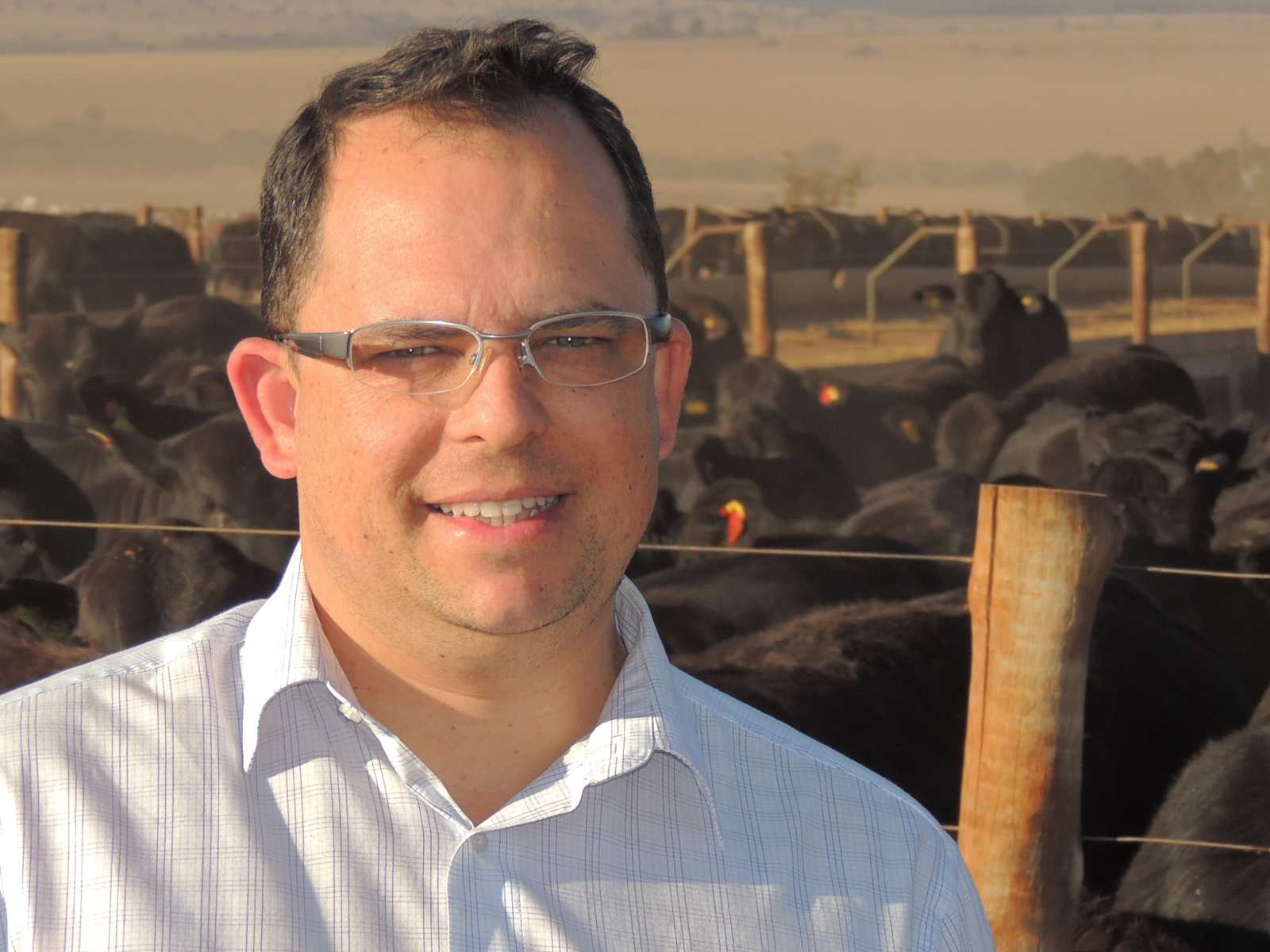 Daniel Almeida: quando se oferta carne com qualidade, nunca se perde a ...