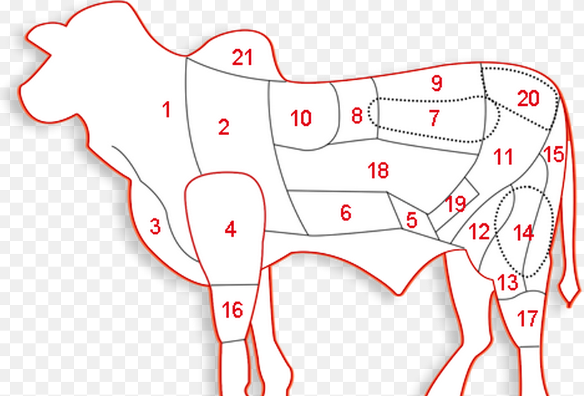 Confira os cortes de carne bovina mais comuns no Brasil e no mundo ...