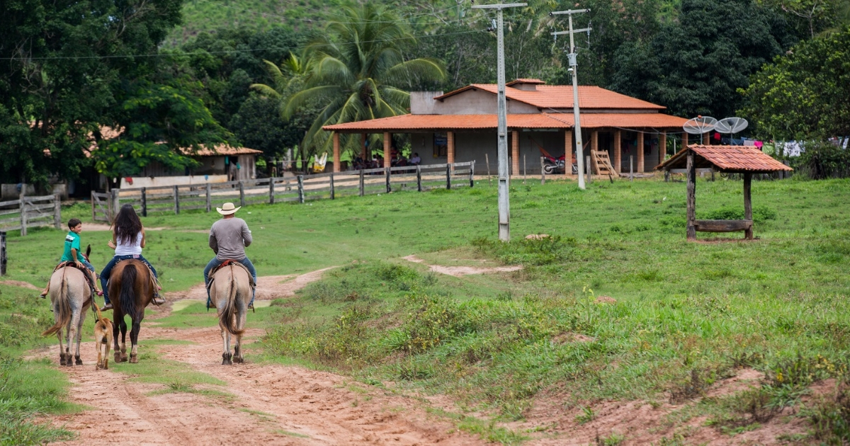 Começa hoje prazo para entrega da declaração de propriedade rural